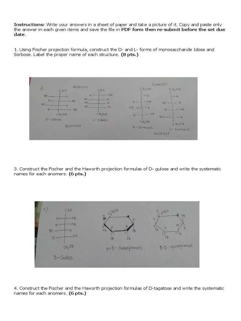 Activity 5 Carbohydrates - Fischer & Haworth Projection Formulas | PDF