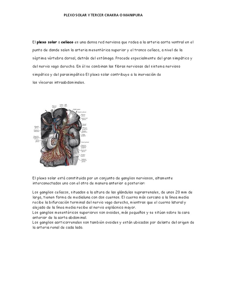 Ubicación y Función del Plexo Solar | PDF | Abdomen | Anatomía