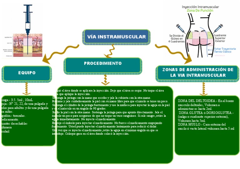 Via Intramuscular | PDF | Inyección (medicina) | Medicina