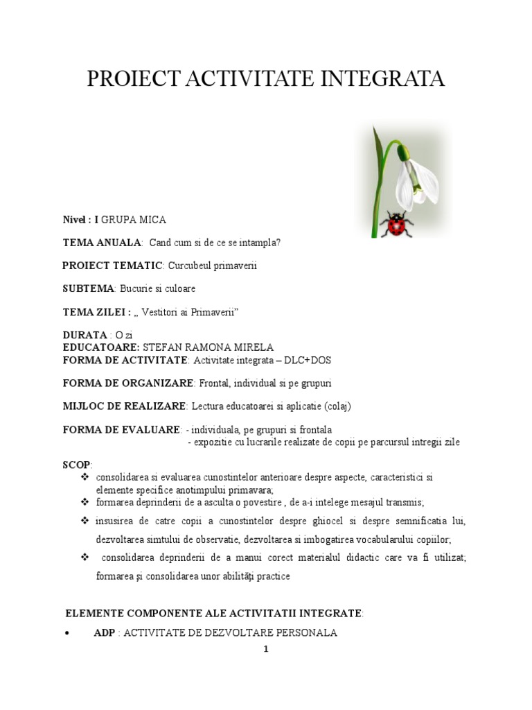 Proiect Activitate Integrata Grad II | PDF