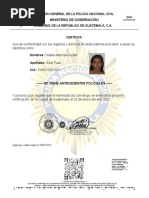 Ejemplo de Dpi Formato para Hacer | PDF