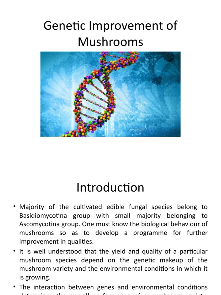 Genetic Improvement of Mushrooms | PDF | Plant Breeding | Genetics