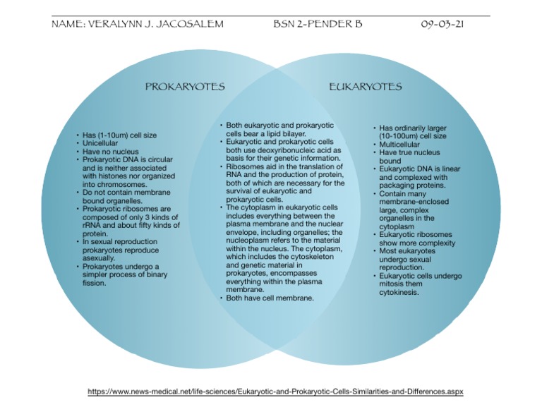 Eukaryote Og Prokaryote Celler Venn Diagram Venn Diagram An