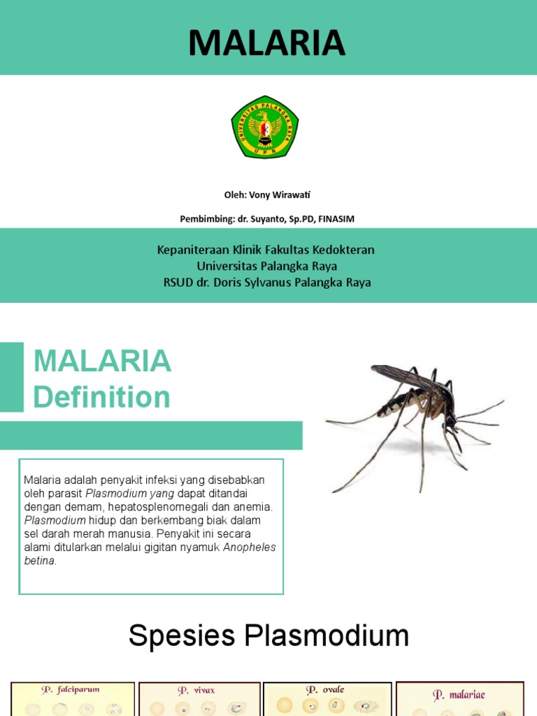Malaria Presentasi | PDF