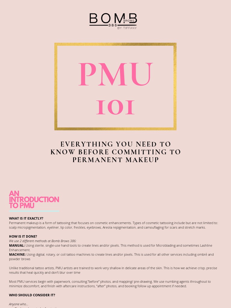 PMU Guide | PDF | Eyebrow | Clinical Medicine