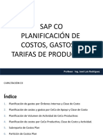 Centro de Costos SAP | PDF | Contabilidad | Informática