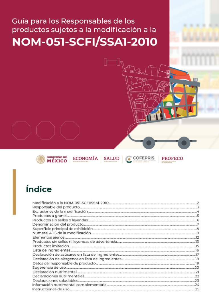 Manual-NOM051 Guia-Responsables | PDF