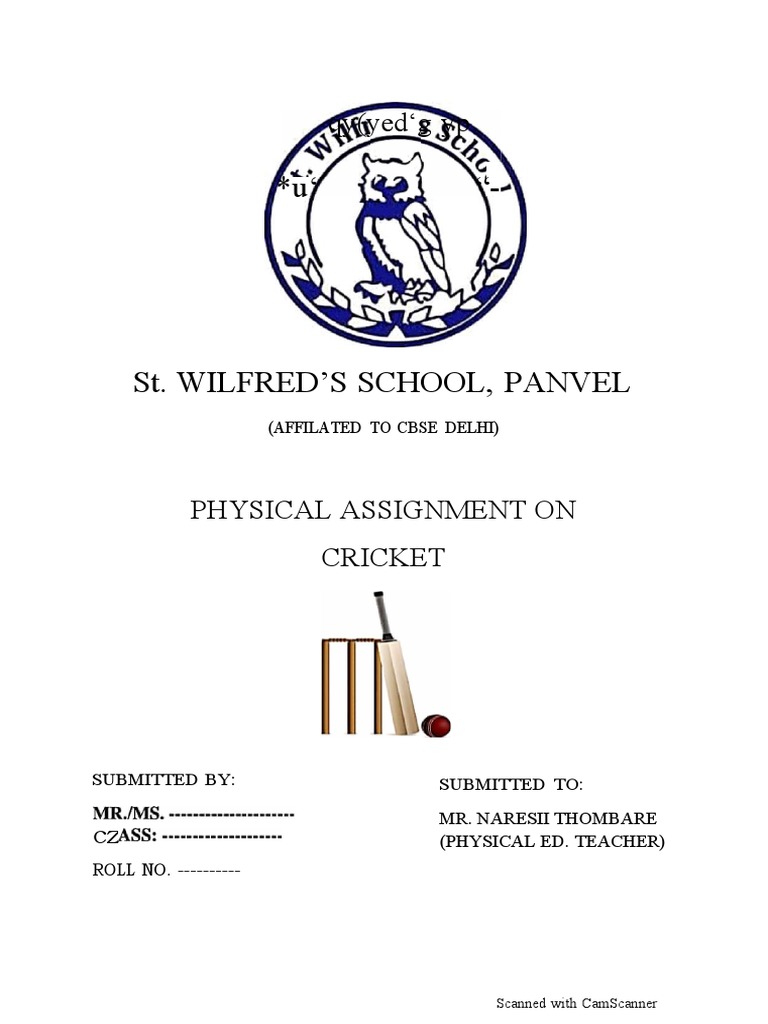 Cricket Project Assignment Overview | PDF