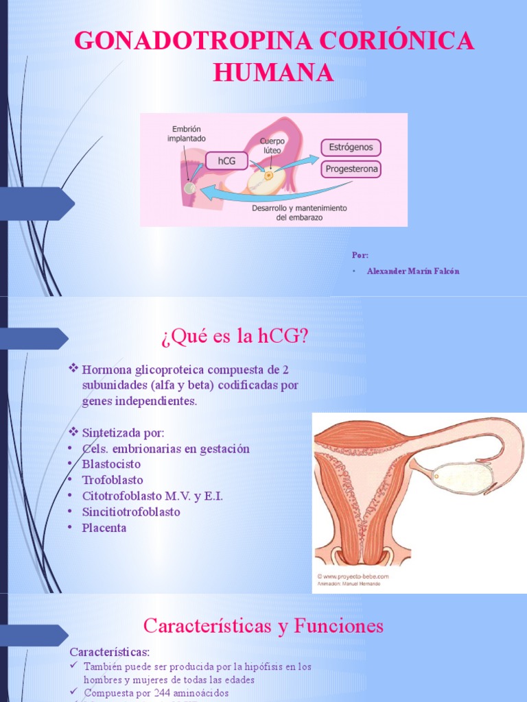 Gonadotropina Corionica Humana | PDF | Gonadotropina coriónica humana | Gonadotropina