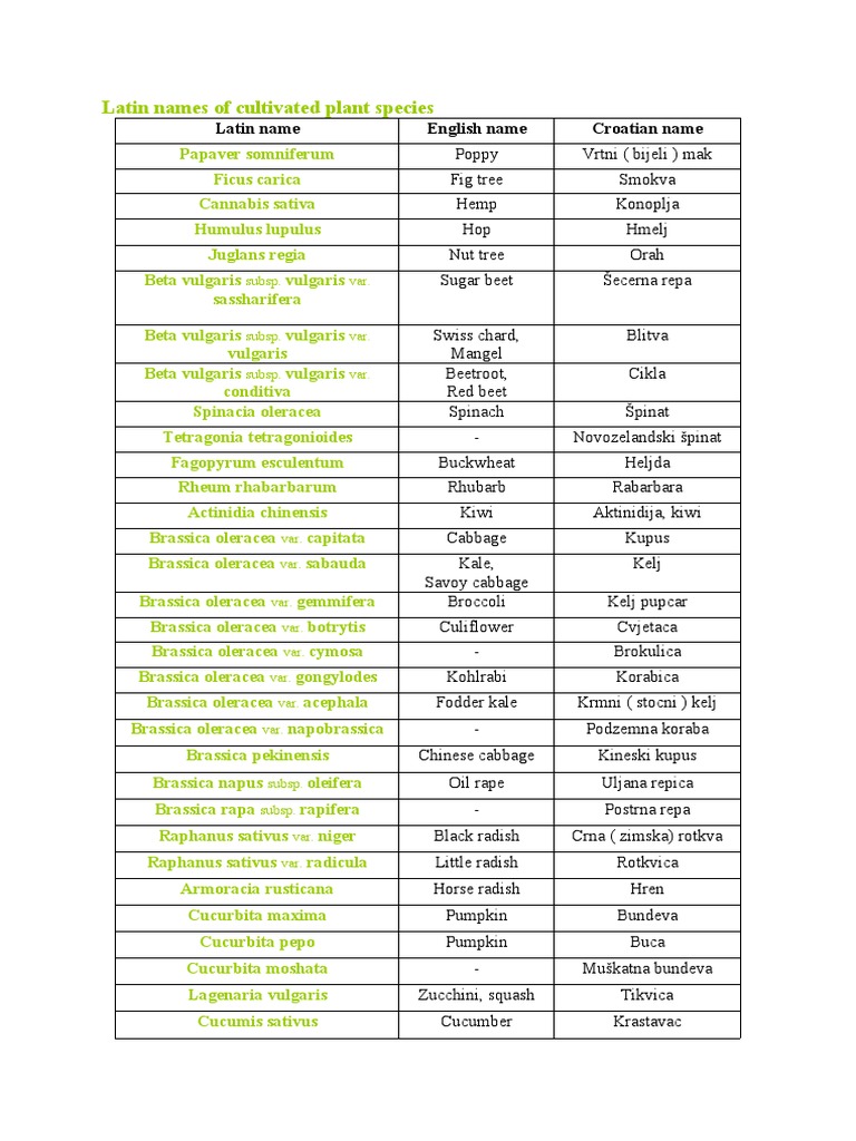 Latin Names of Cultivated Plant Species | PDF | Cucurbita | Cabbage