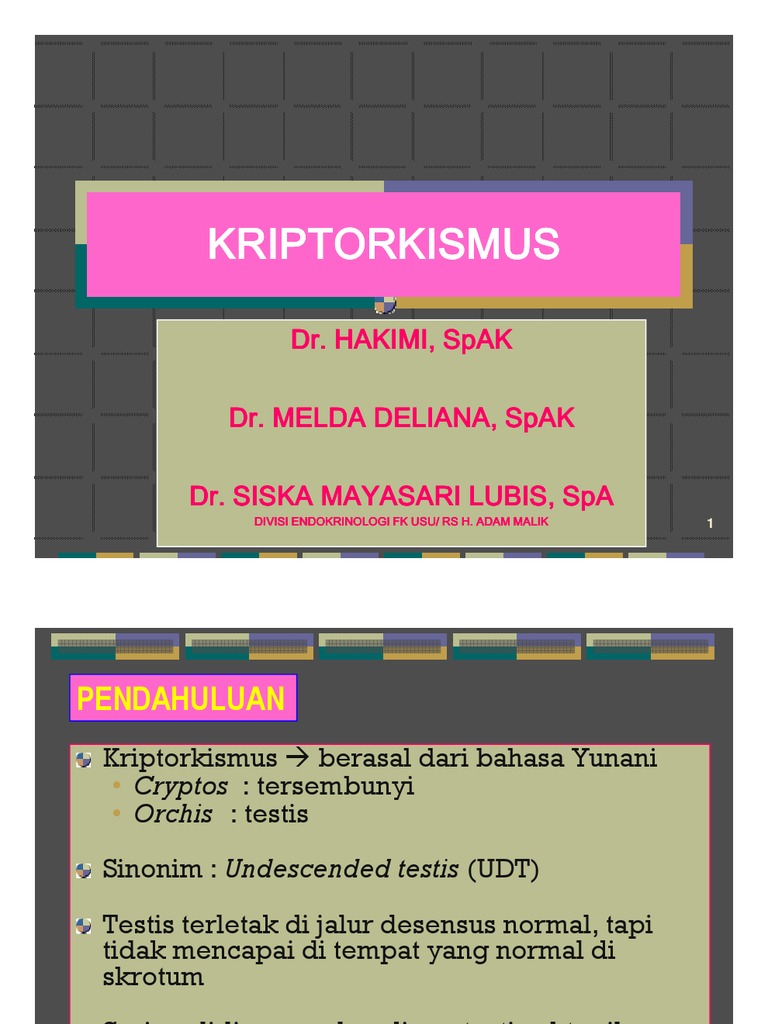 MK End Slide Kriptorkismus | PDF