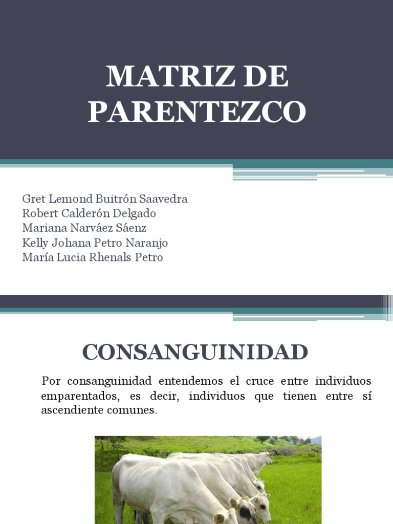 Matriz de Parentezco | PDF | Parentesco | Biología