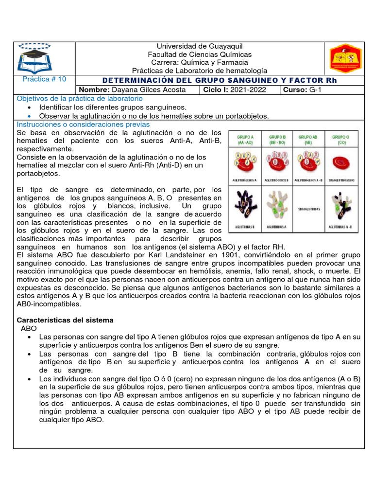 DETERMINACIÓN DEL GRUPO SANGUINEO Y FACTOR RH | PDF | Tipo de sangre ...