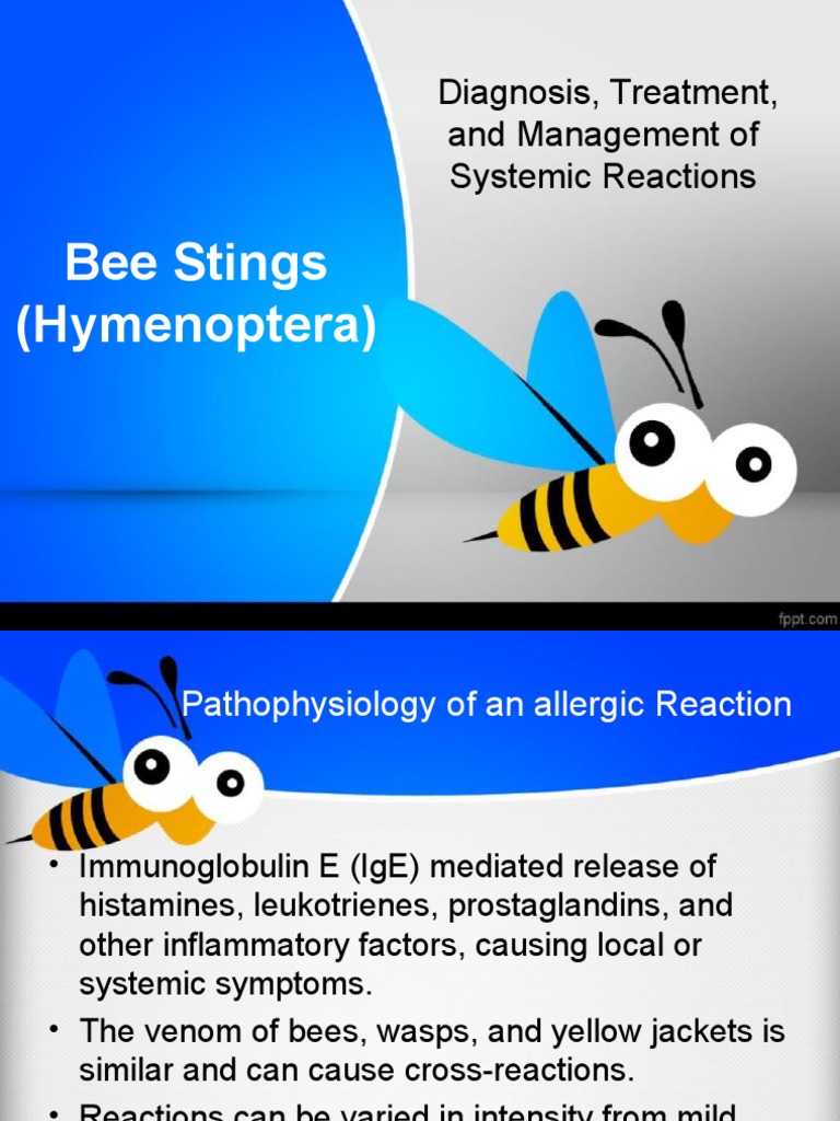 Bee Sting (Hymenoptera) C | PDF | Allergy | Immunology