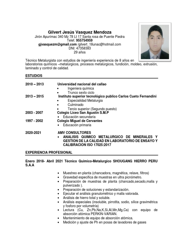 CV VM | PDF | Fundición | Laboratorios