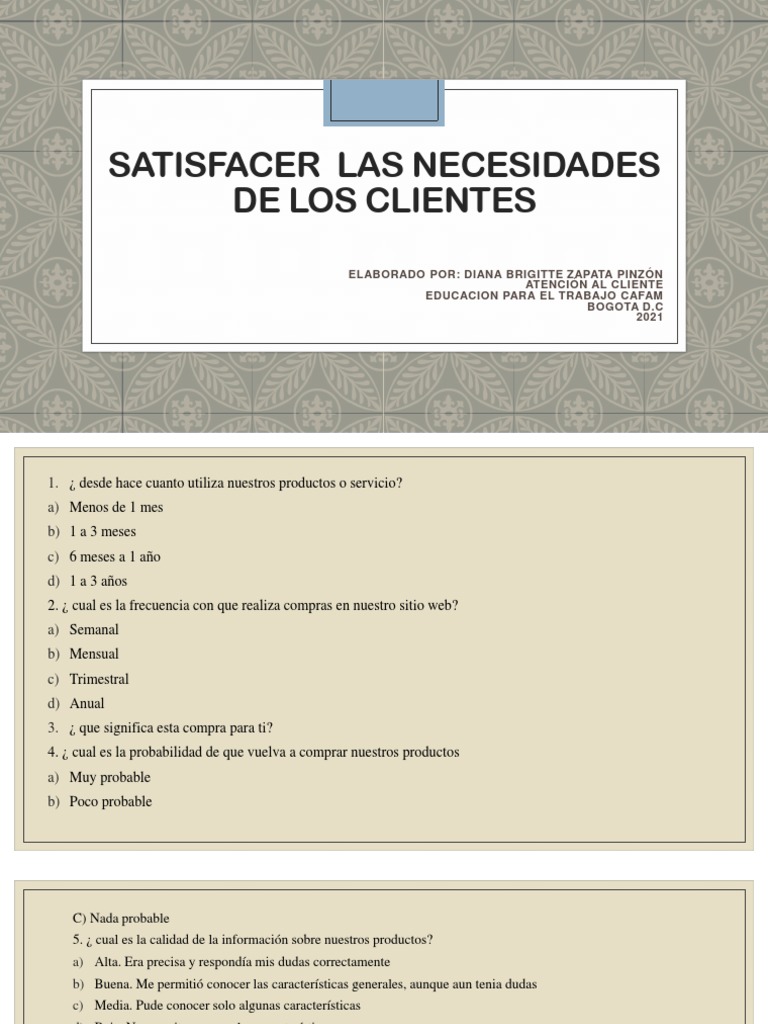 Satisfacer Las Necesidades de Los Clientes | PDF