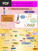 Oxitocicos | PDF | Parto | Farmacología