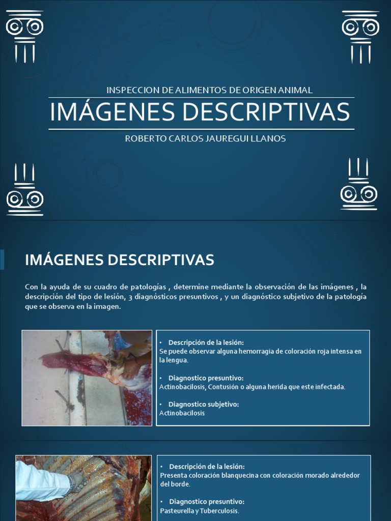 Imagenes Descriptivas - Jauregui Llanos | PDF | Especialidades Medicas ...