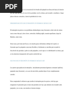 Caudectomía en Perros Adultos: Técnica Quirúrgica | PDF | Perros | Cirugía