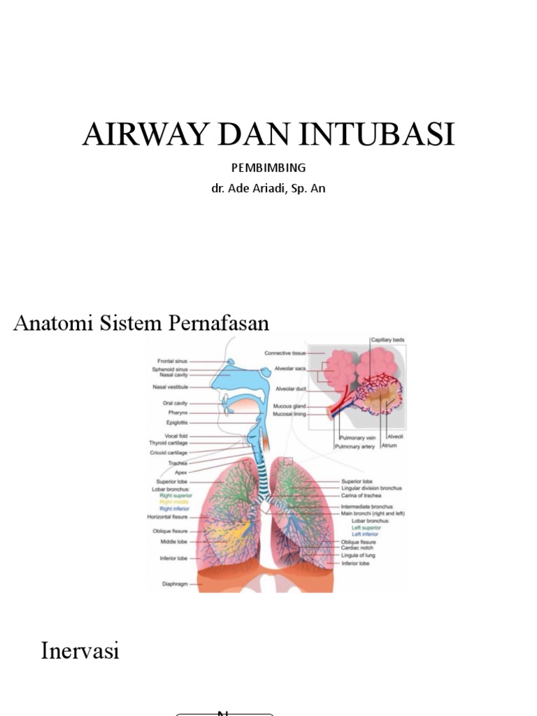 Airway Dan Intubasi | PDF