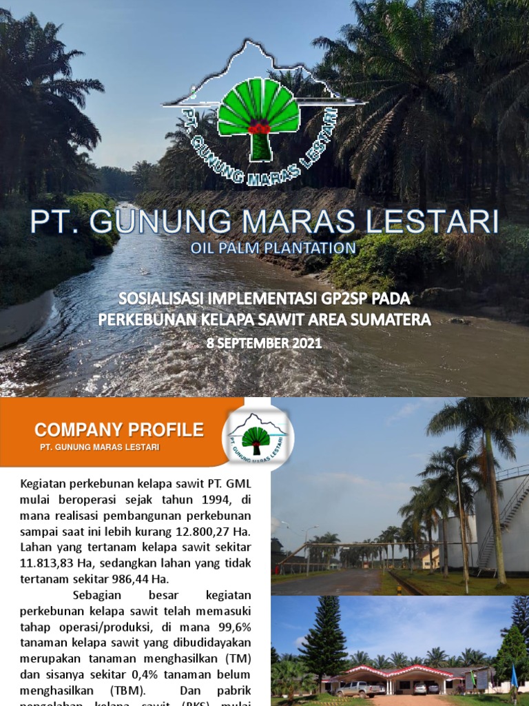 Presentasi Gp2sp - Slide Zoom 8 Sept 2021 | PDF