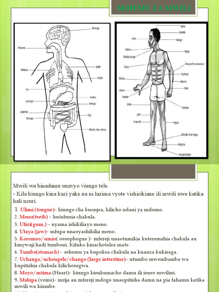 Sehemu Za Mwili | PDF