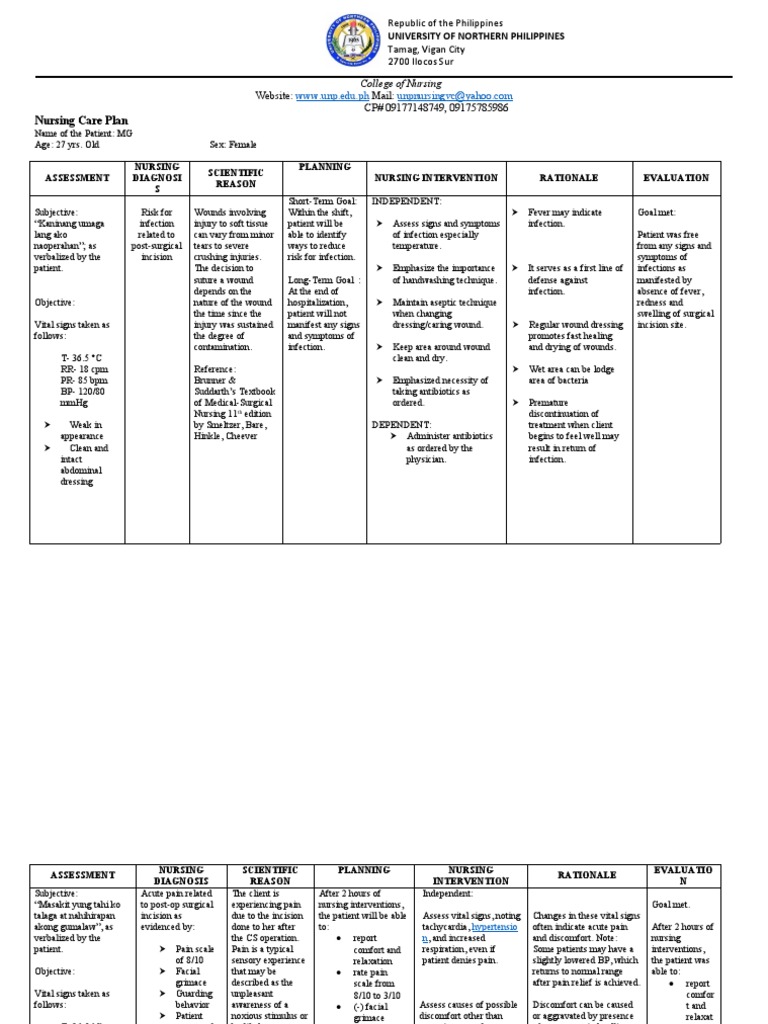 Nursing Care Plan: WWW - Unp.edu - PH | PDF | Pain | Anesthesia