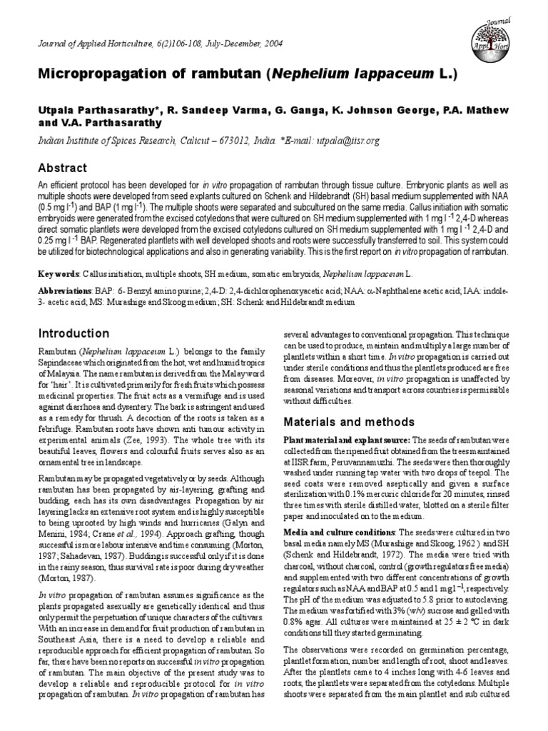 In Vitro Propagation of Rambutan Plants | PDF | Biology | Biological ...