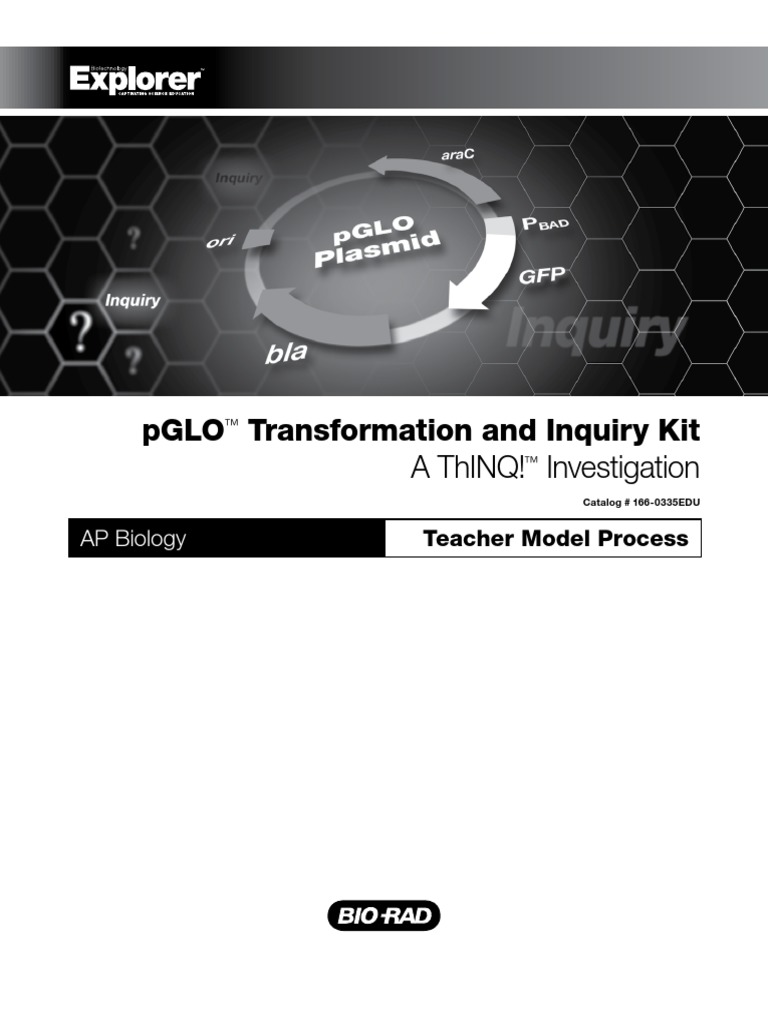 Pglo Transformation and Inquiry Kit: A Thinq! Investigation | PDF ...