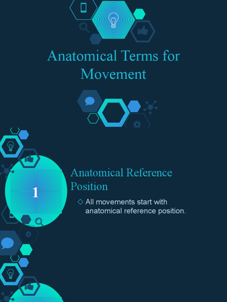 Anatomical Terms | PDF | Anatomical Terms Of Motion | Anatomical Terms ...