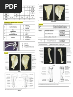SplintER Series Common ED Splint Techniques 104 | PDF | Thumb | Arm