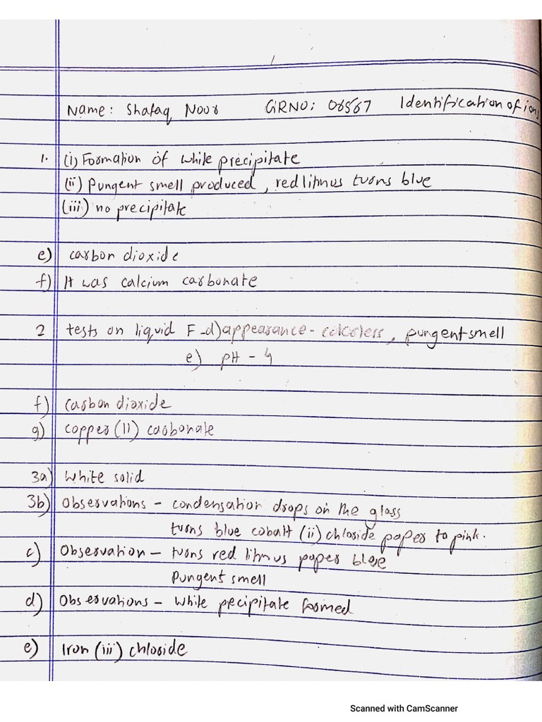 Identification of Ions Worksheet | PDF