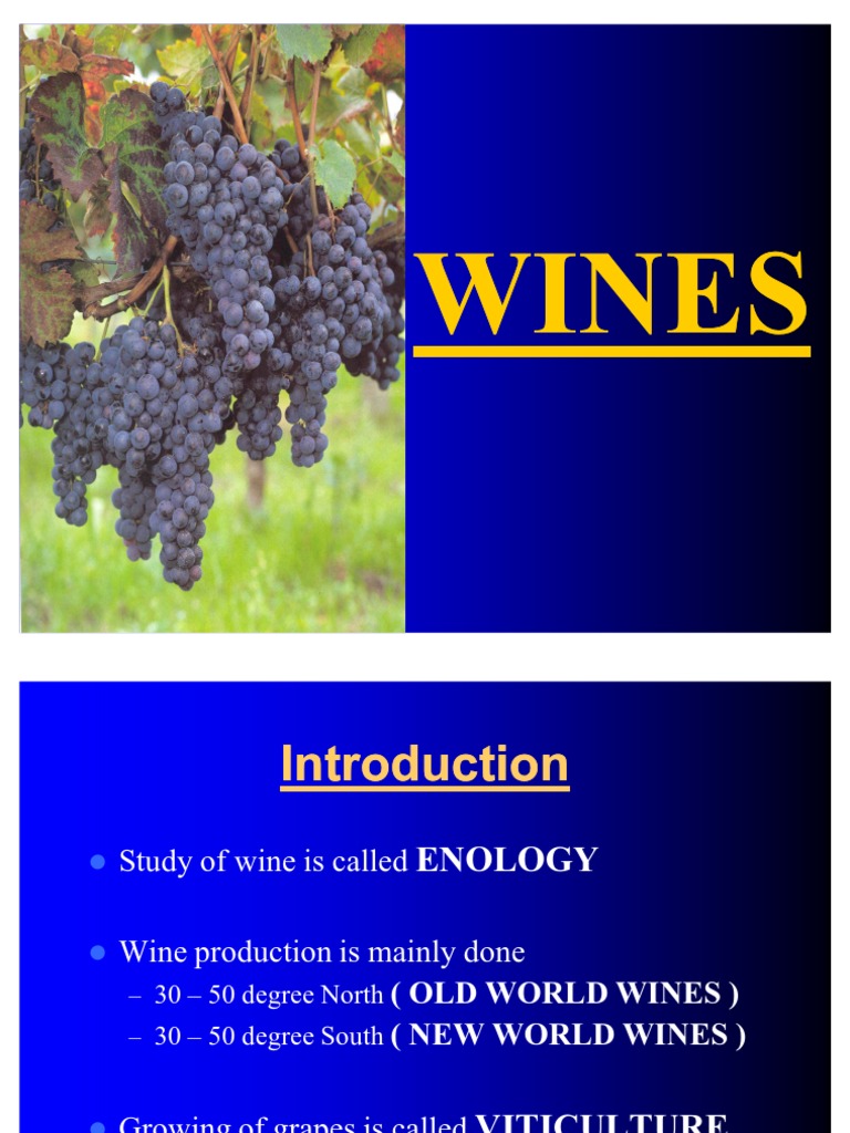 1 - Wines Introduction | PDF