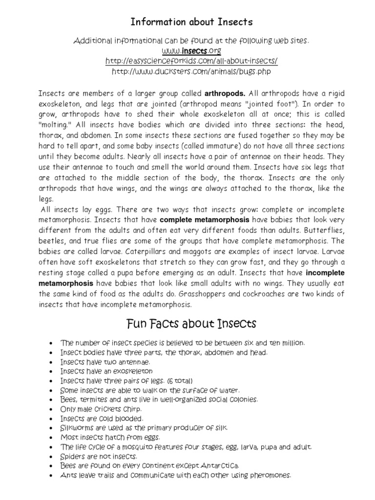 2 Information About Insects | PDF | Insects | Pupa