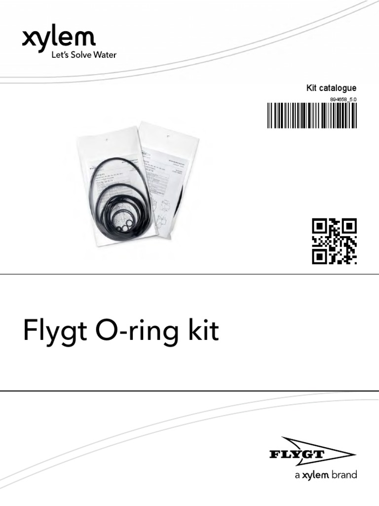 5.0 - en-US - 2019-04 - OK - Flygt O-Ring Kit | Download Free PDF ...
