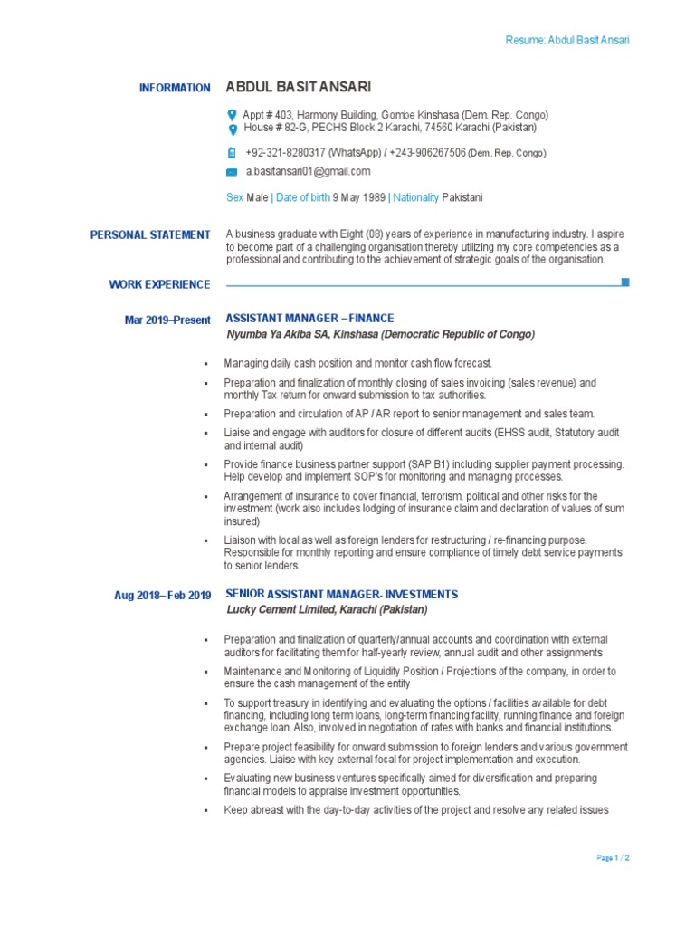 Abdul Basit Ansari CV | PDF | Audit | Investing