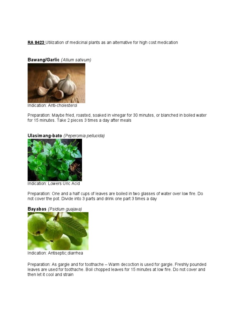 Bawang/Garlic (: RA 8423 Utilization of Medicinal Plants As An ...