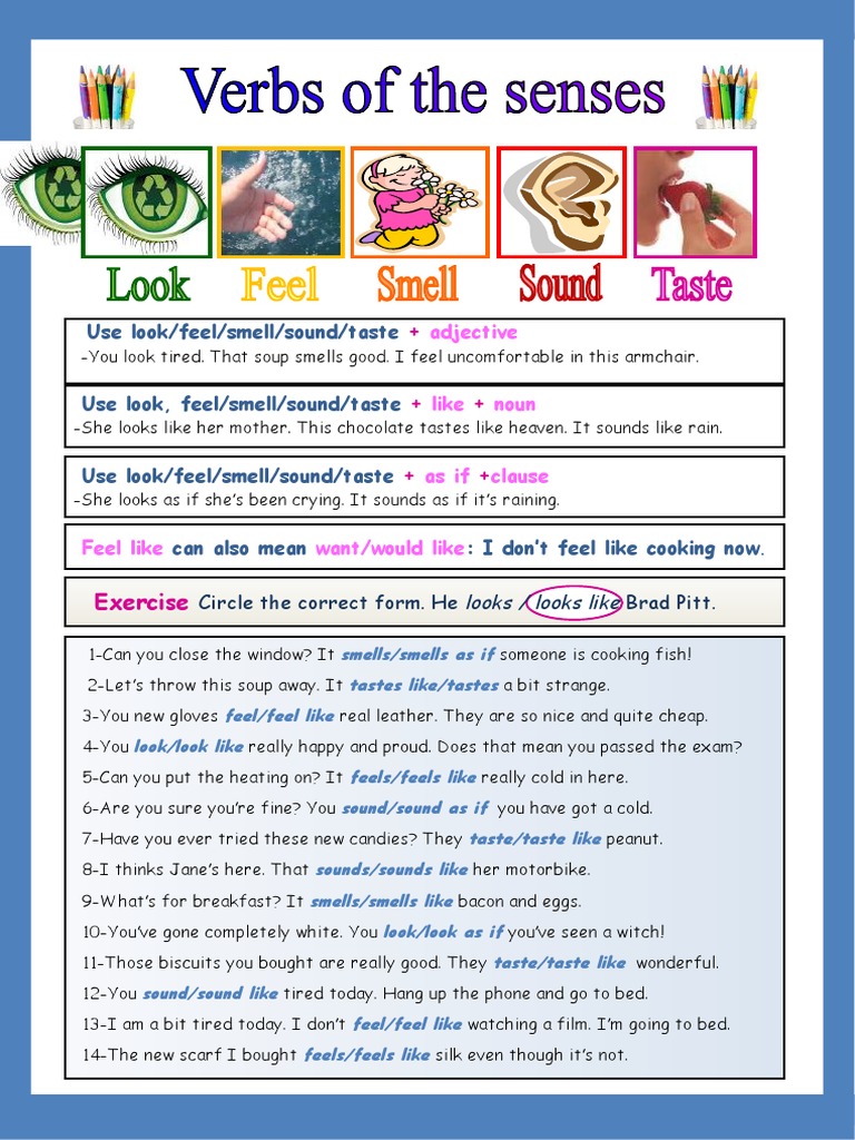 Verbs of The Senses | PDF