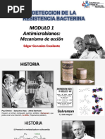La Quitina Características y Funciones | PDF