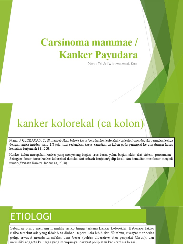 Ca Kolon | PDF