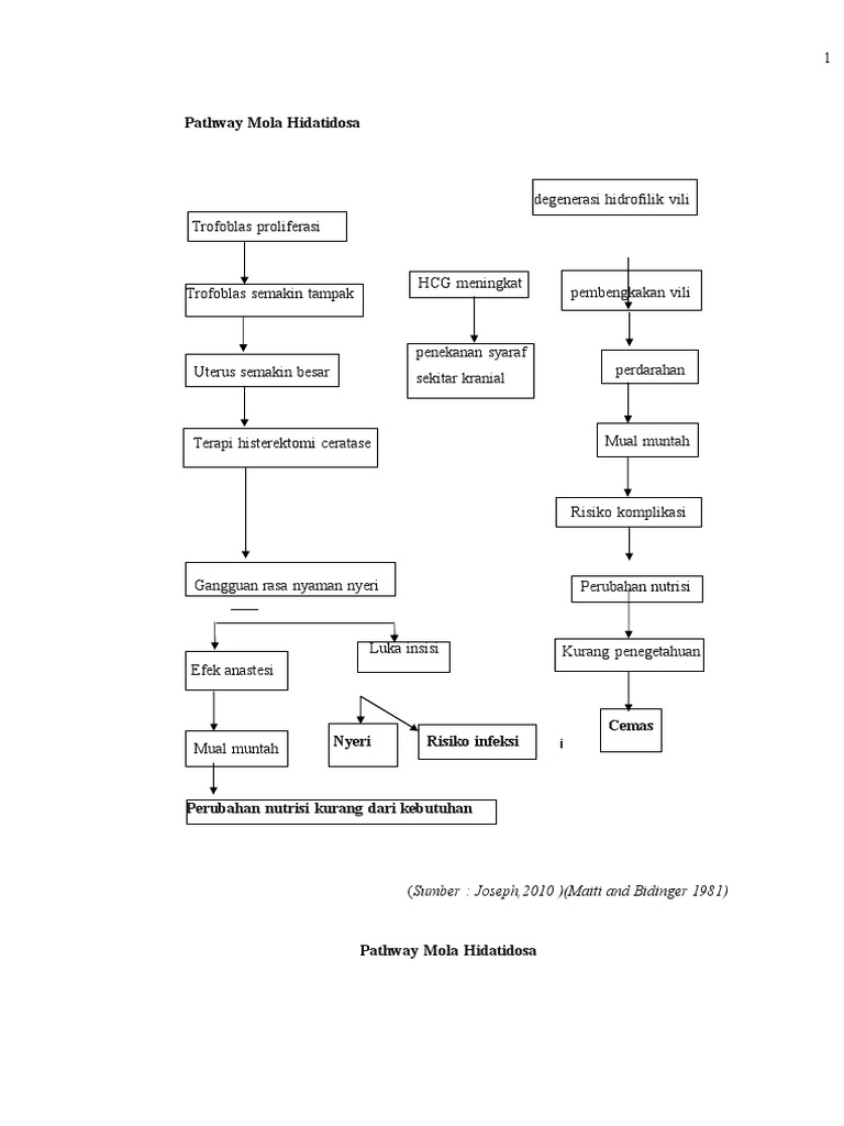 Pathway Mola Hidatidosa | PDF