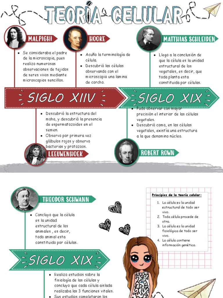 Línea de tiempo de la teoría celular | PDF | Biología Celular ...