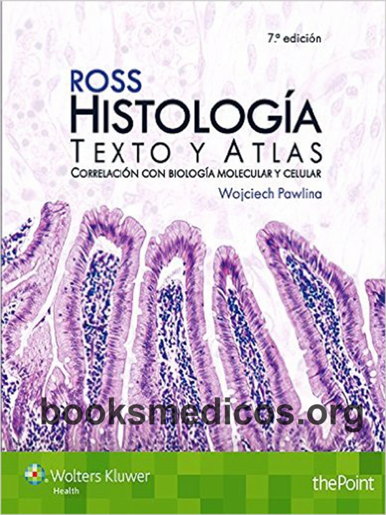 Ross Histologia Texto y Atlas 7a Ed | PDF | Hueso | Epitelio