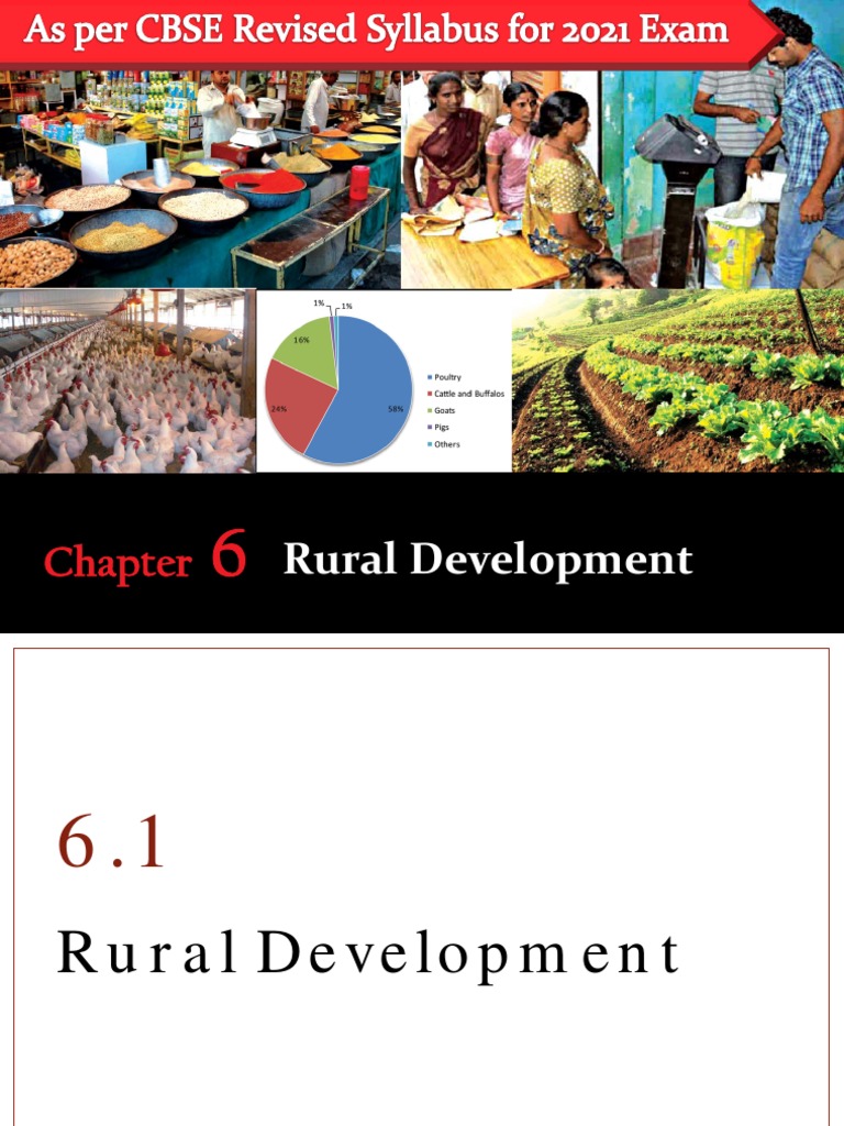 Key Issues in Rural Development | PDF | Agriculture | Organic Farming