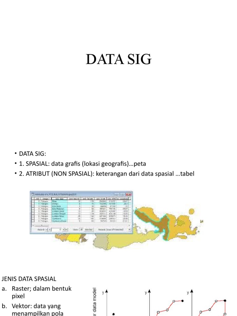 Jenis dan Contoh Data SIG | PDF