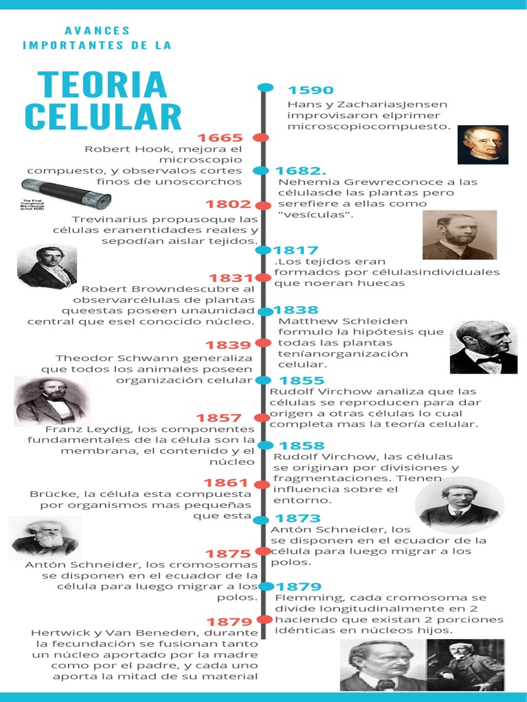 Linha Do Tempo Da Teoria Celular De Rudolf Virchow Rudolf Virchow