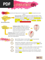 Distocia Funicular: Definición y Evaluación | PDF | Parto | Feto