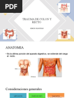 Técnicas de Anastomosis Intestinales | PDF | Cirugía | Digestión