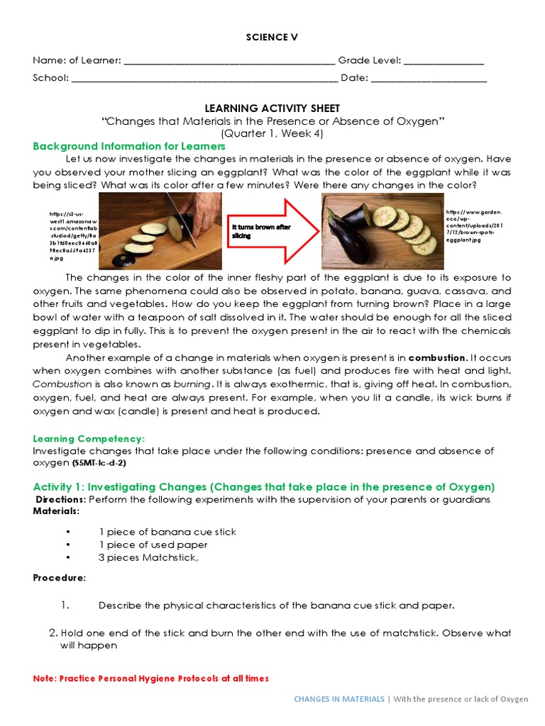 Science 5 Quarter 1 Week 4 | PDF | Combustion | Candle