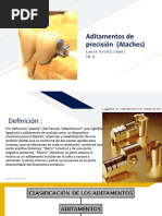 Gancho Adams | PDF | Ortodoncia | Naturaleza